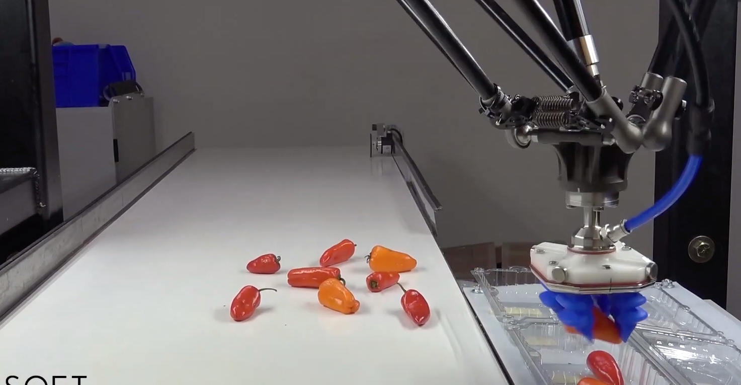 Pepper Packaging - Soft Robotics Pepper Packaging - Soft Robotics
