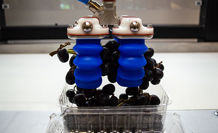 Grape Handling - Soft Robotics Grape Handling - Soft Robotics