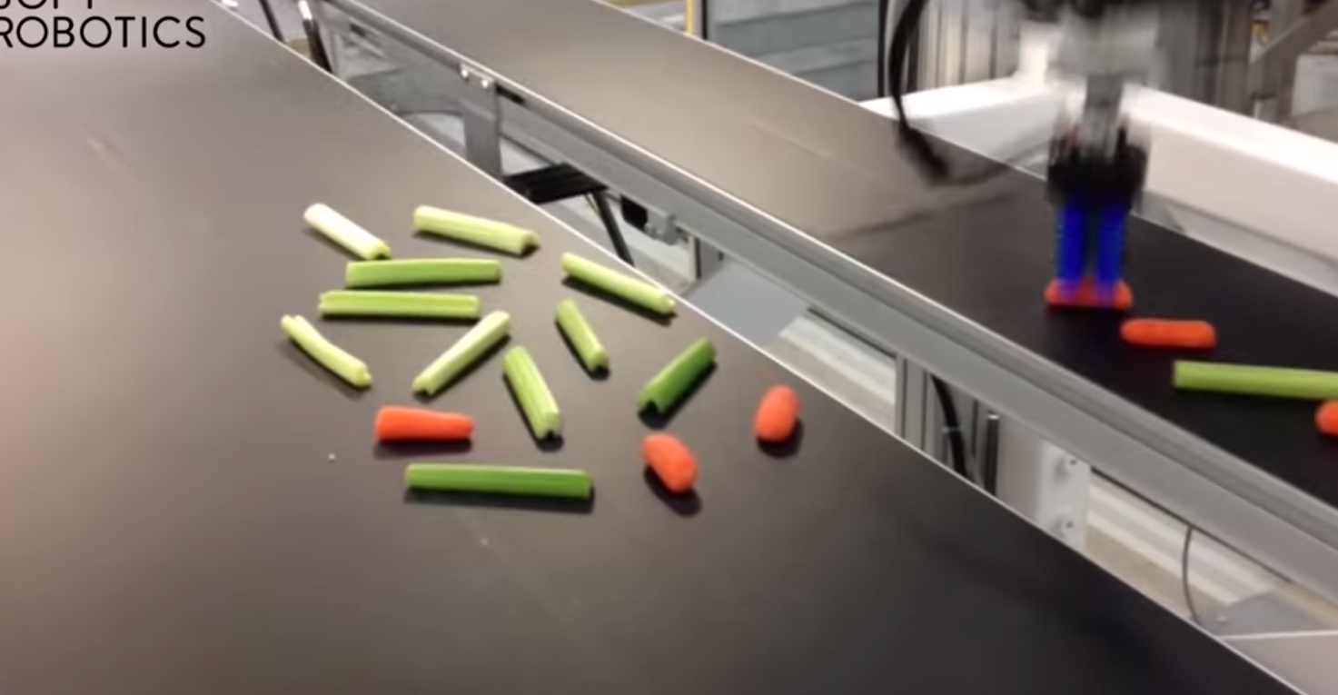 Soft Robotics Automation: Solutions for Difficult Applications - Soft ... Soft Robotics Automation: Solutions for Difficult Applications - Soft ...